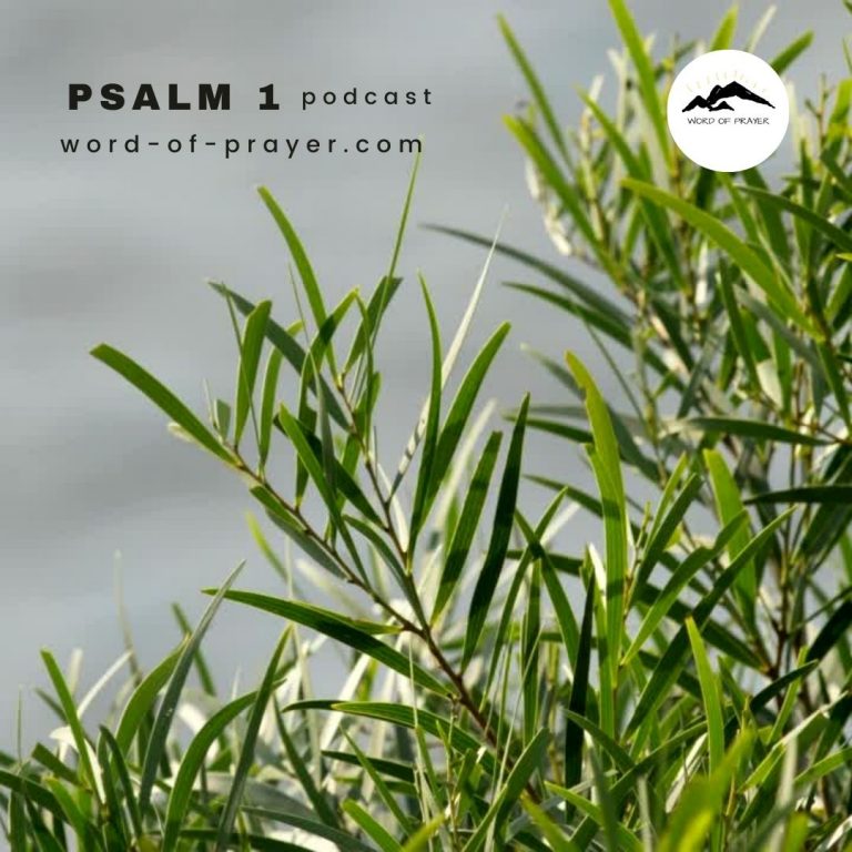 Psalm 1 – Word of Prayer